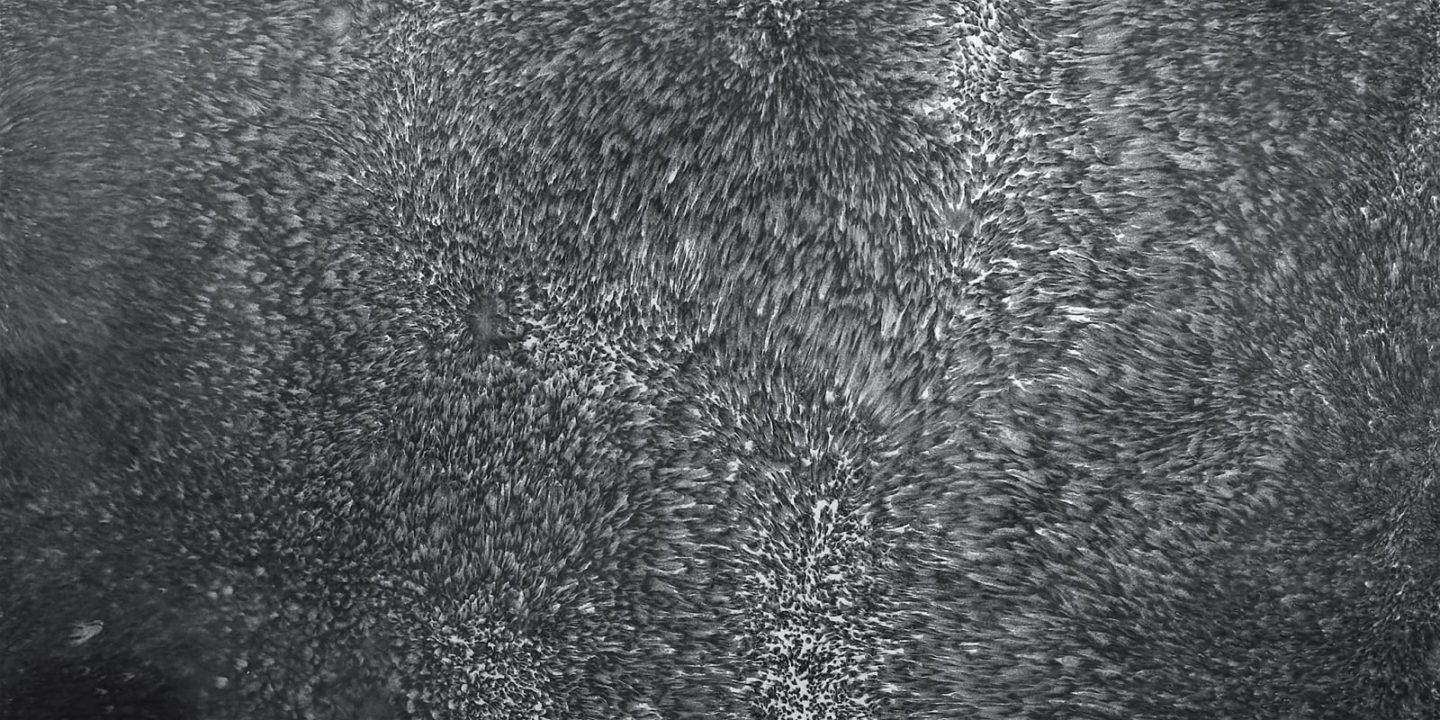 Meditating in the Artworld of Bingyi 冥想在冰逸的艺术世界中 | AMM