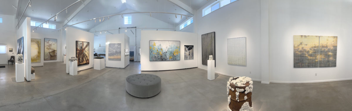 AMM Spotlight: Tania Dibbs, Ed Bradley Story | AMM