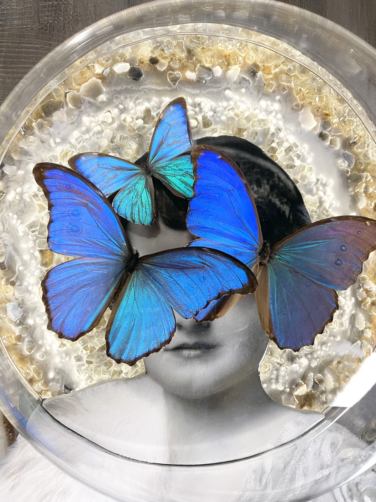 AMM Artist Spotlight: Amy Rader | AMM