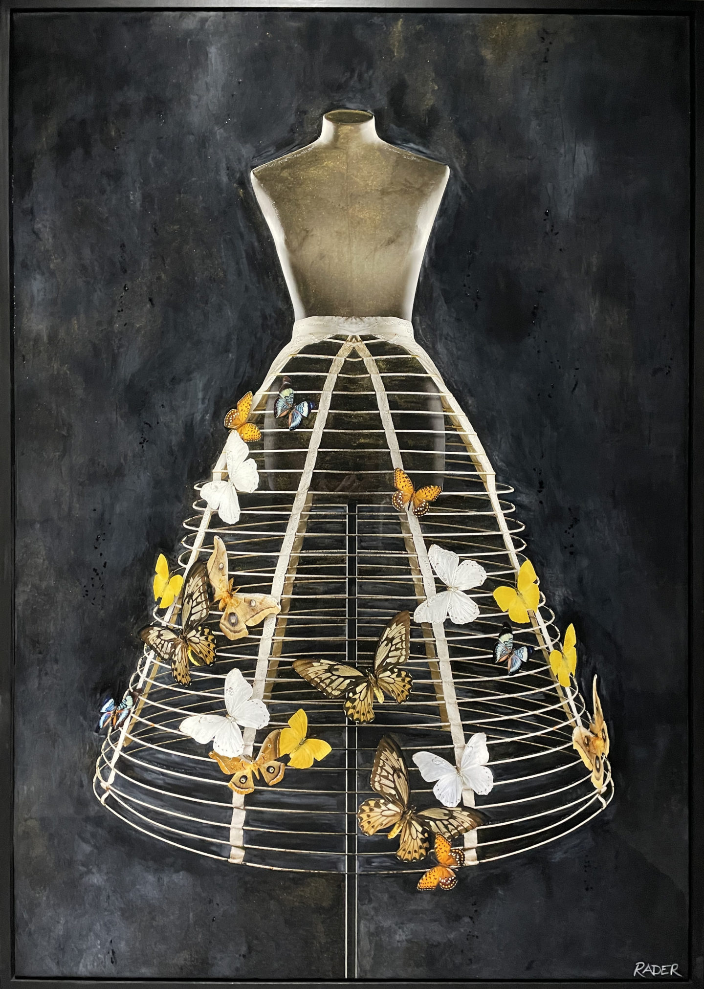 AMM Artist Spotlight: Amy Rader | AMM