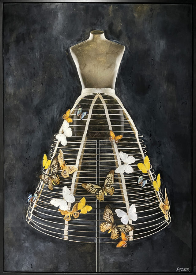 AMM Artist Spotlight: Amy Rader | AMM