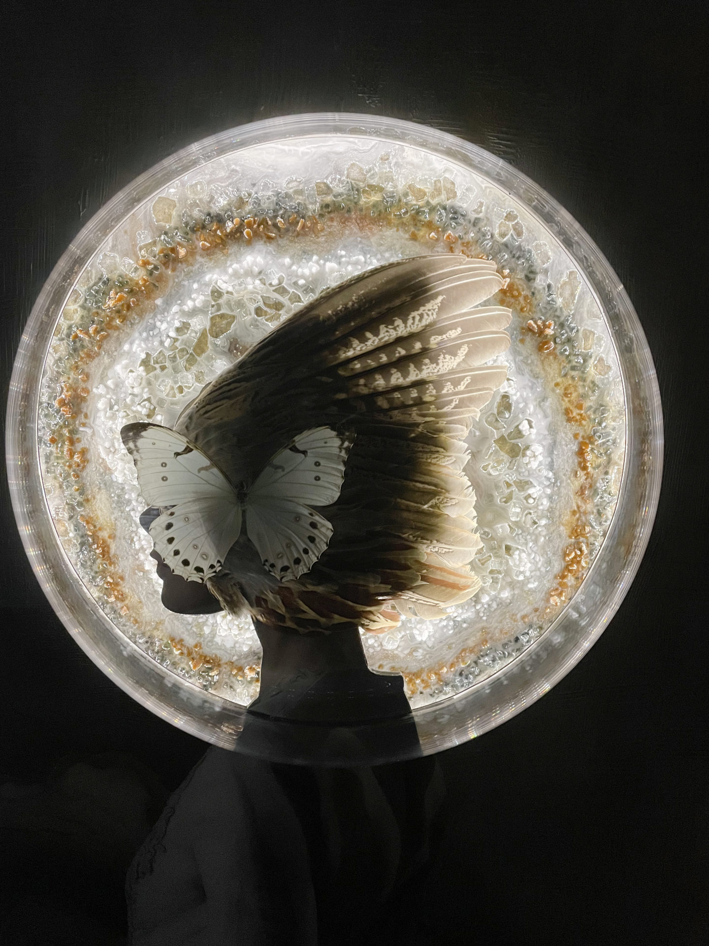 AMM Artist Spotlight: Amy Rader | AMM