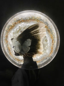 AMM Artist Spotlight: Amy Rader | AMM