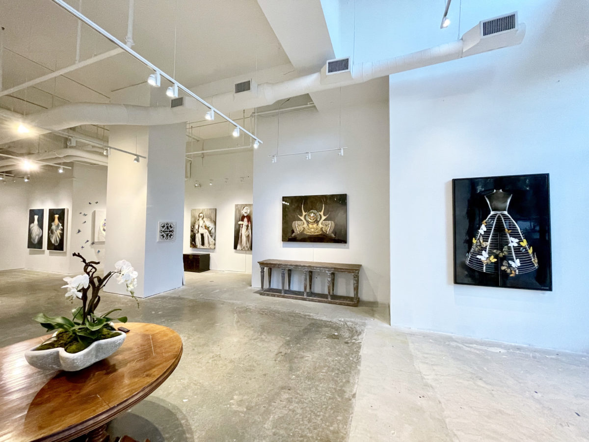 AMM Artist Spotlight: Amy Rader | AMM