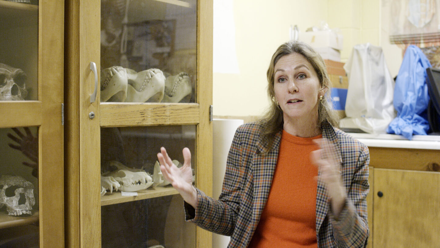 CRONE: The Wise Woman Hypothesis | AMM