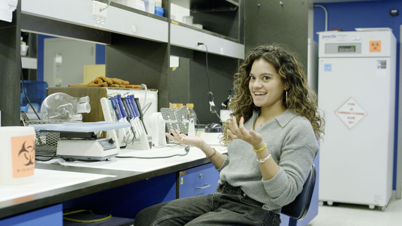 CRONE: The Wise Woman Hypothesis | AMM